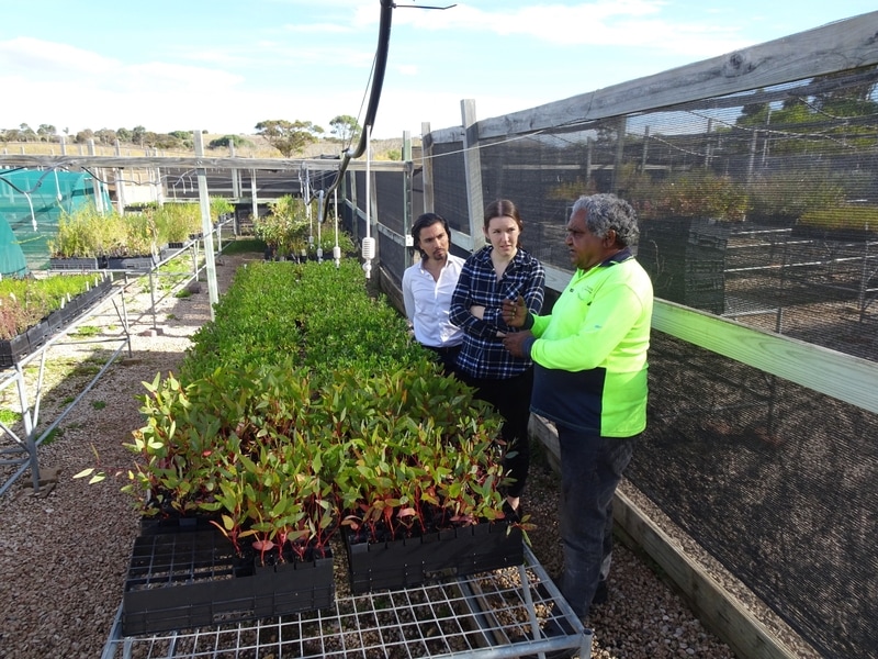 Outsourcing Inc has measured their emissions & started their net zero ...