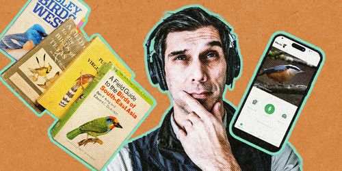 Podcast Episodes - The Science of Birds