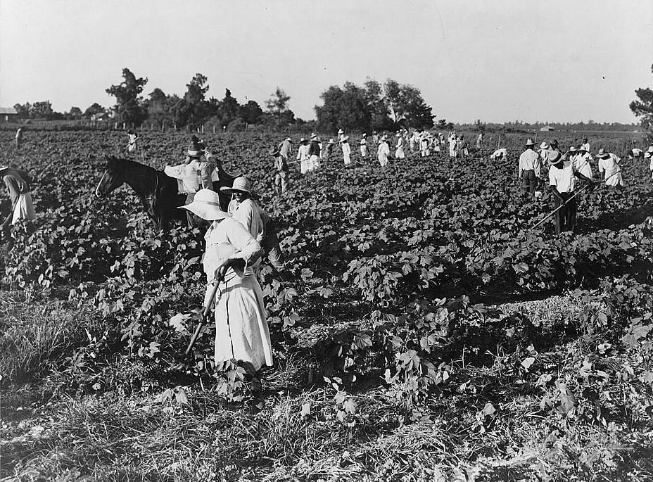 Anti-Slavery in the Americas: A Primer - The Atlas Society Slavery Course