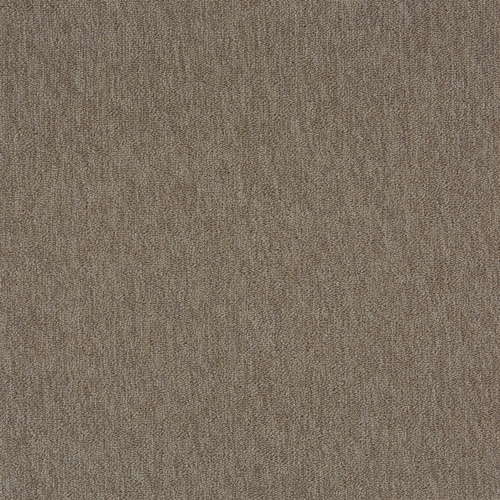 Belgotex Influence – Crush-Resistant Carpet for Enhanced Home Decor