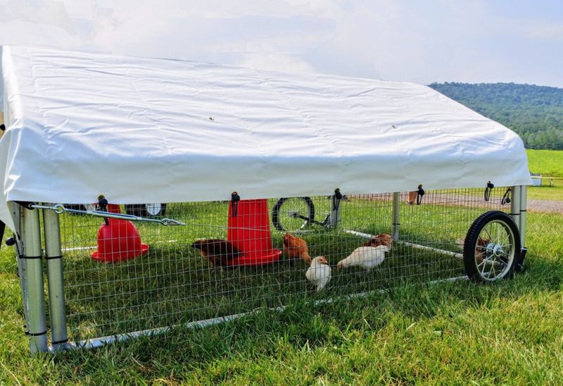 Mobile Chicken Coops | Chicken Ranger