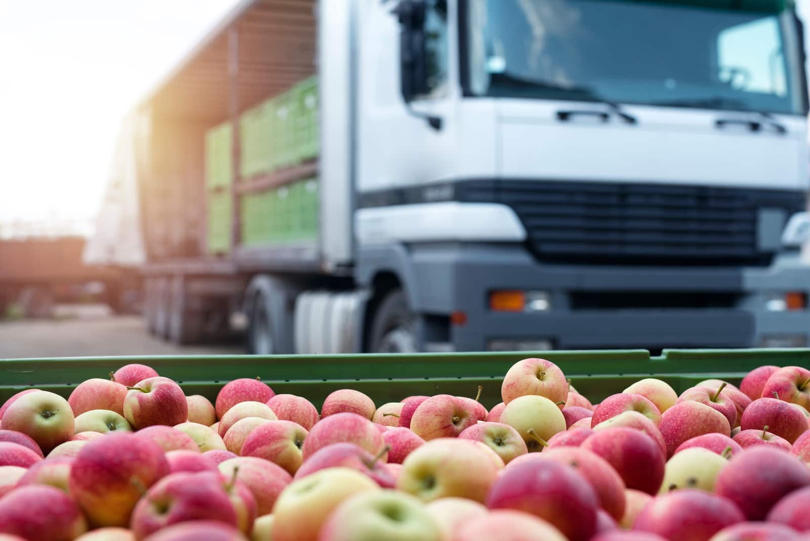 The Challenges of Fresh Produce Logistics – Logmore Blog