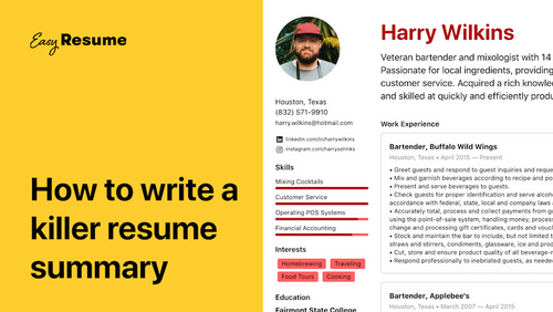 How to Write a Resume Summary in 2025: 10+ Examples | Easy Resume