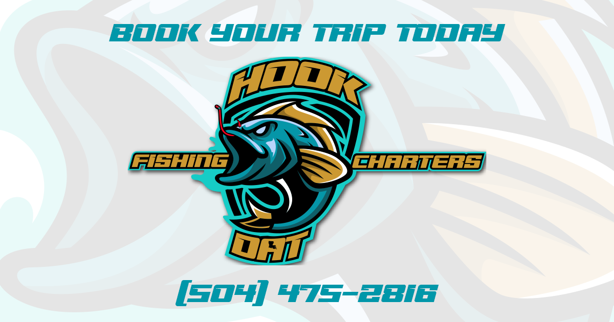 Louisiana Fish Species - Hook Dat Fishing Charters