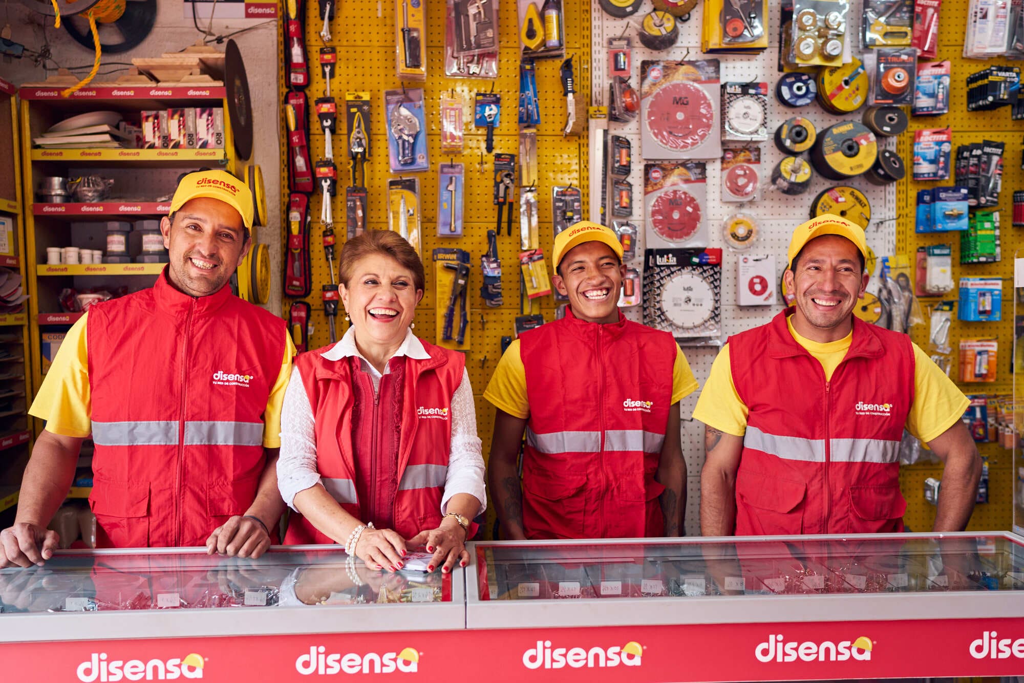 Bienvenido a Disensa