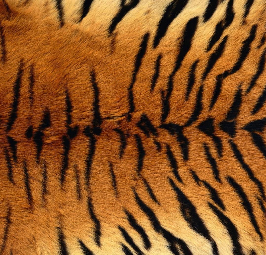 Magnet House Nightclub - An unparalleled club destination in Perth 2023