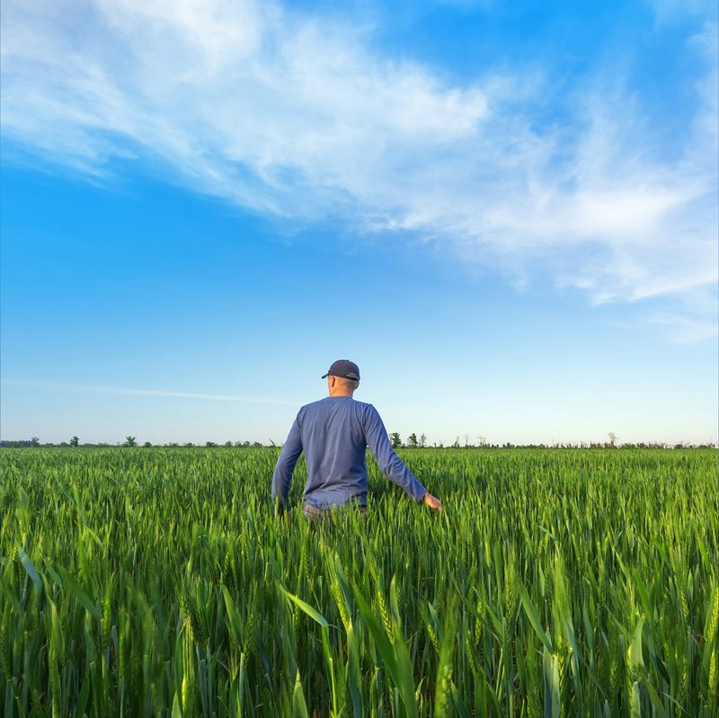 Fertiliser from Thomas Bell | The Home of Quality Fertilisers