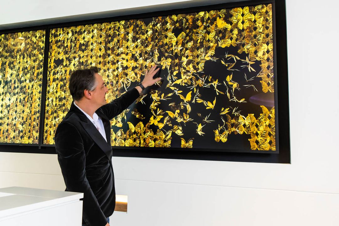 Dominic Harris - artworks