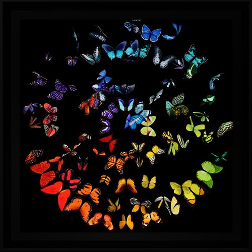 Dominic Harris - artworks