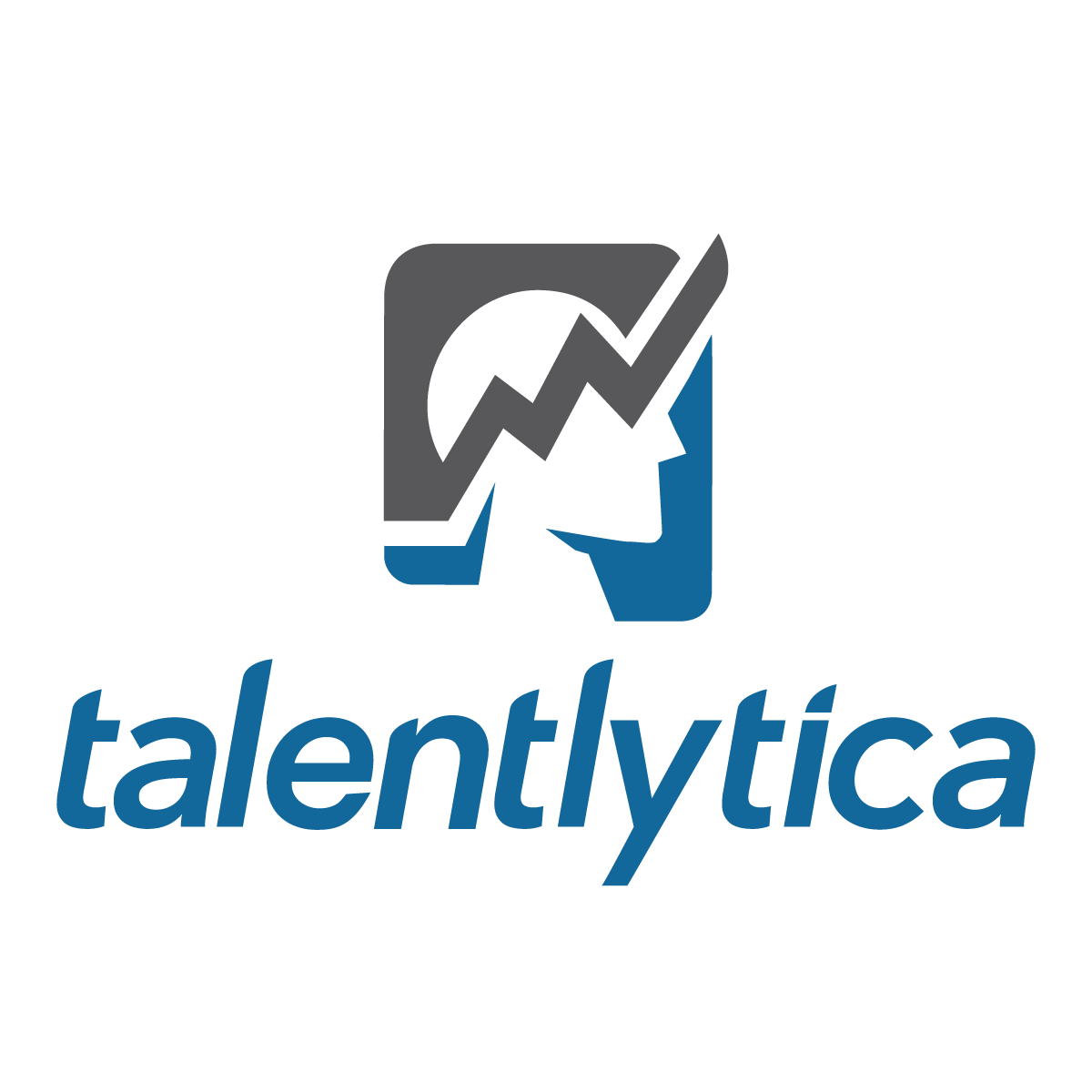 About - Talentlytica Online Assessment Platform