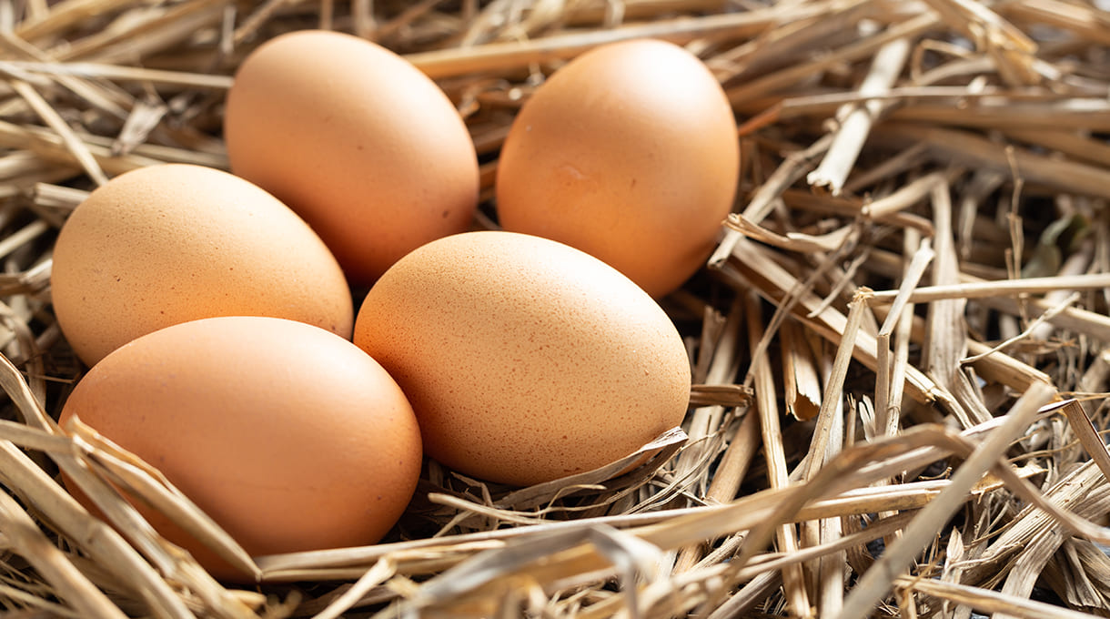 Top 10 Alimente care îți îmbunătățesc sănătatea ochilor