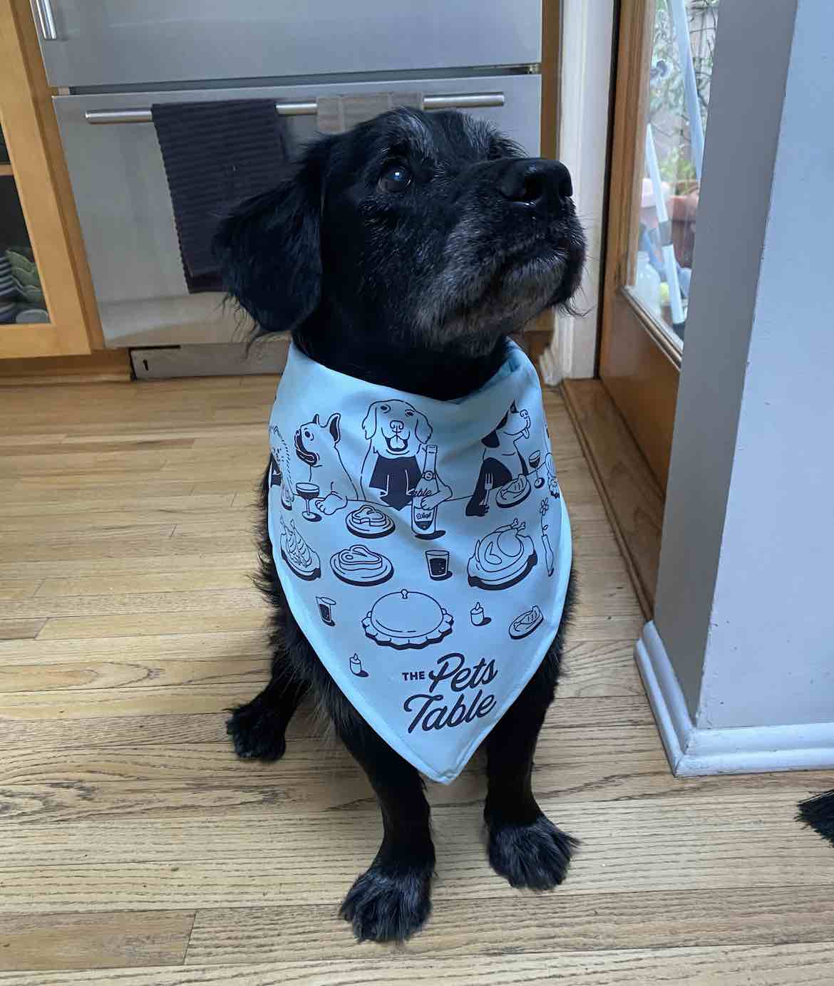 The Pets Table Dog Food Review (2024) Use Code QUALITY50 For 50% Off ...