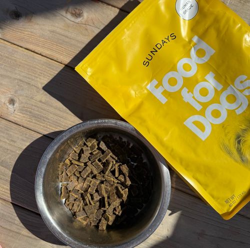 Sundays Dog Food Review (2024) | The Quality Edit
