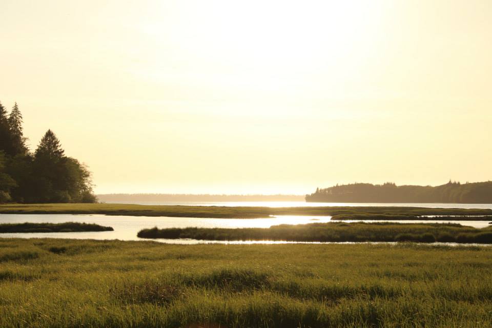 Washington State Conservation Commission | Partnering with you to ...