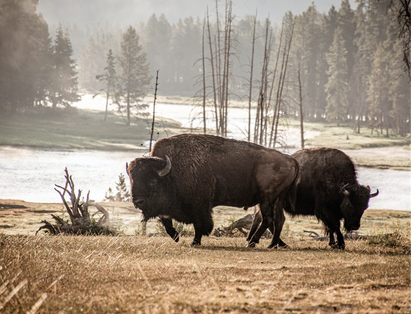 Tripio - It's never been easier to explore