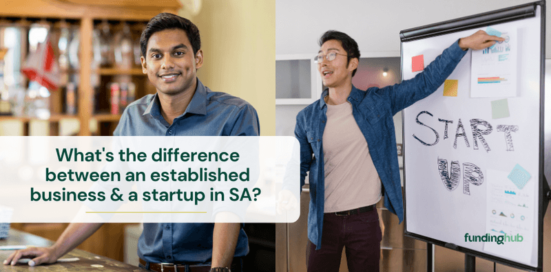 Established Businesses vs Startups: Key Differences
