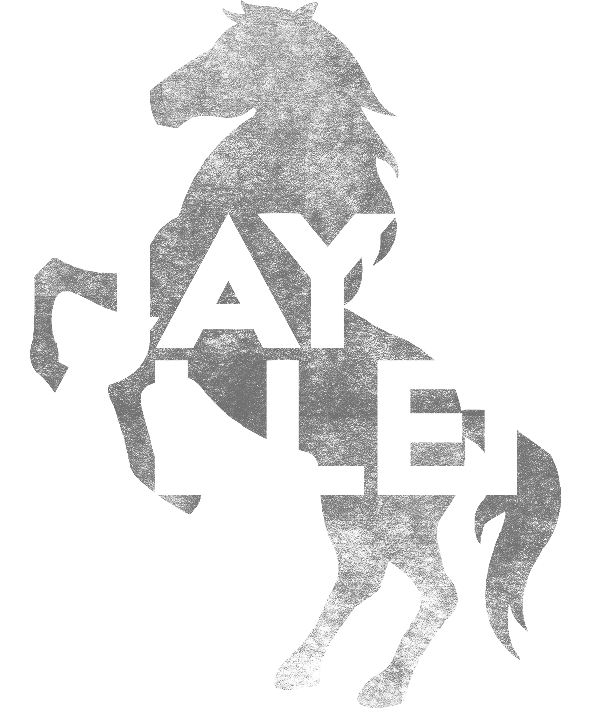 Jay Allen