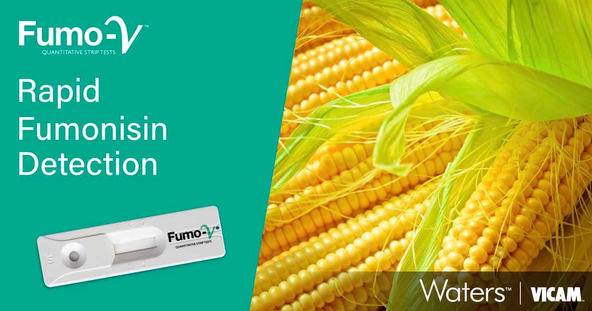 Quickly Detect Fumonisins On-Site In Just 5 Minutes Using Fumo-V