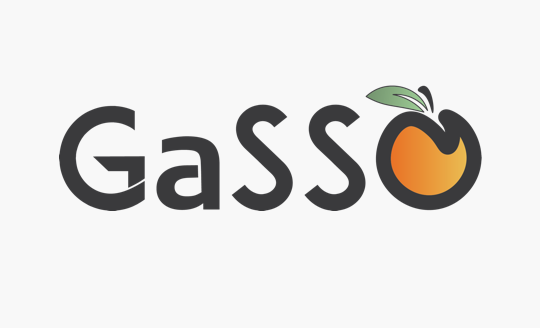 GaSSO | About