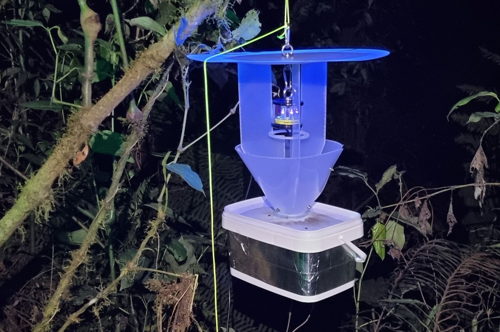 Dr. Gunnar Brehm | LepiLED