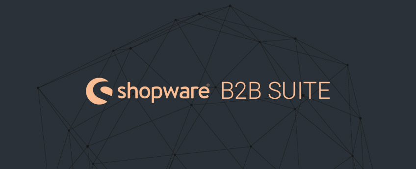Die Shopware B2B Suite im Überblick