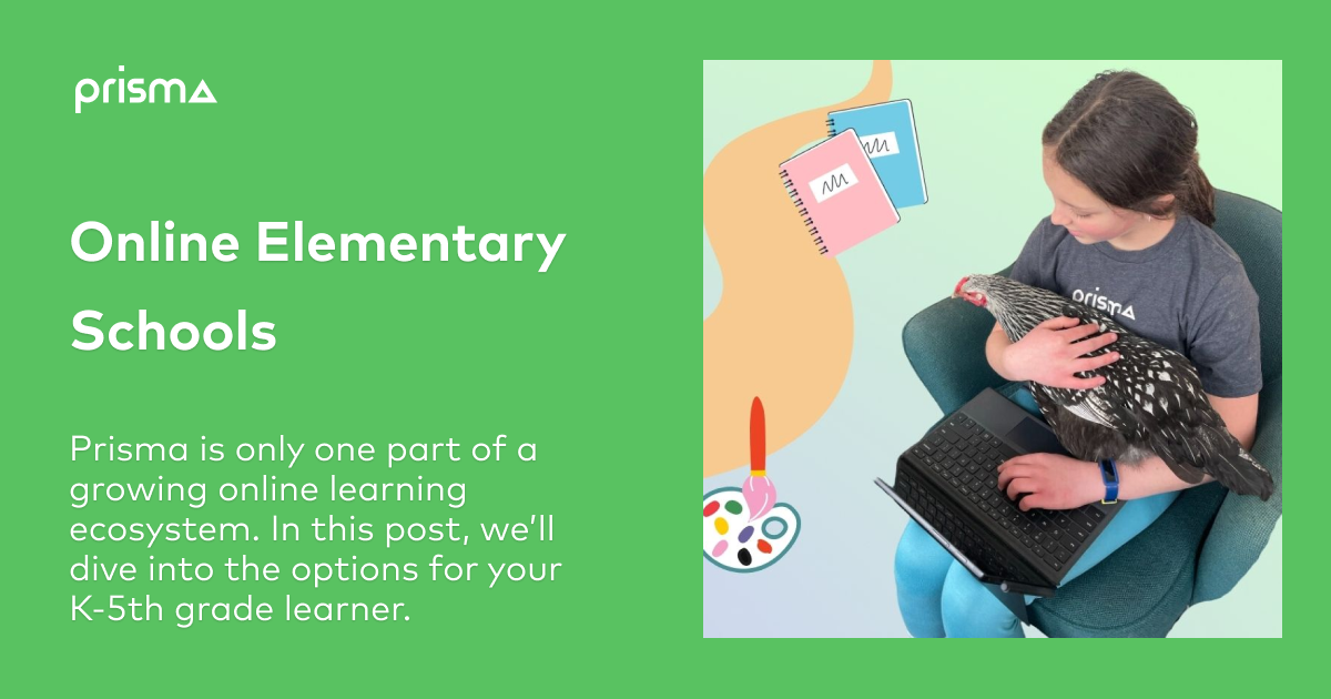 17 Best Online Elementary School Options