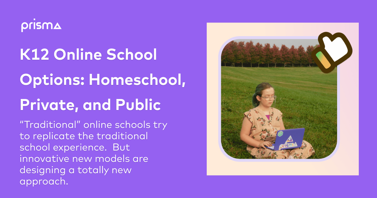 K12 Online School Options: Homeschool, Private, and Public