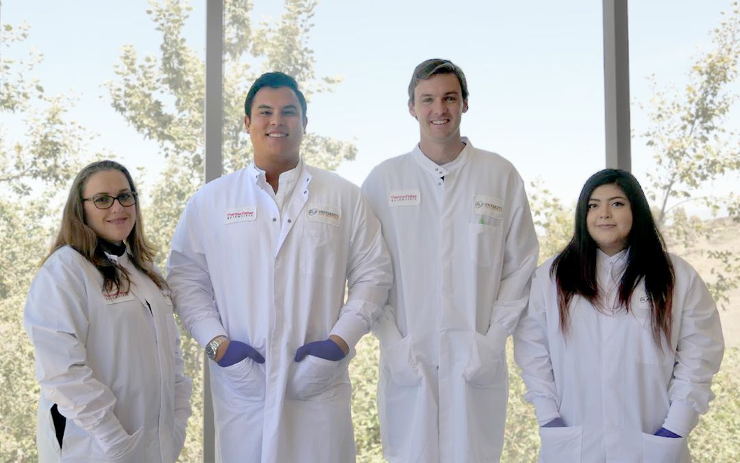 Neuronal Activity Tissue Clearing Kit | Brain-Wide Cellular Resolution ...