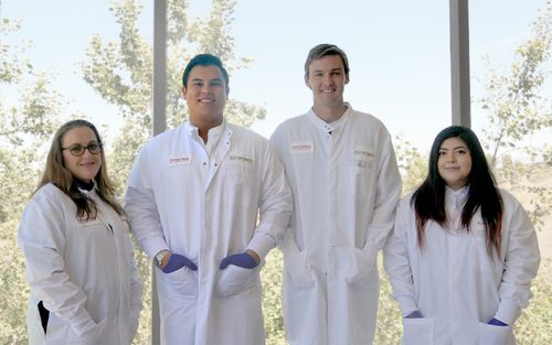 Universal Tissue Clearing Kit | Straightforward iDISCO-Based Clearing