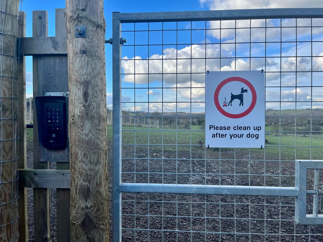 Dog Walk at The Paddock - Shotteswell Secure Dog Field