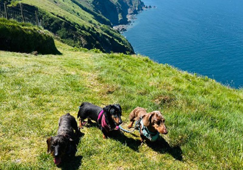 Dog Walk at Combe Martin to Heddon’s Mouth