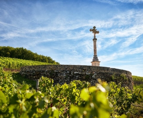 Private Wine & Spirits Imports - Mark Anthony Group