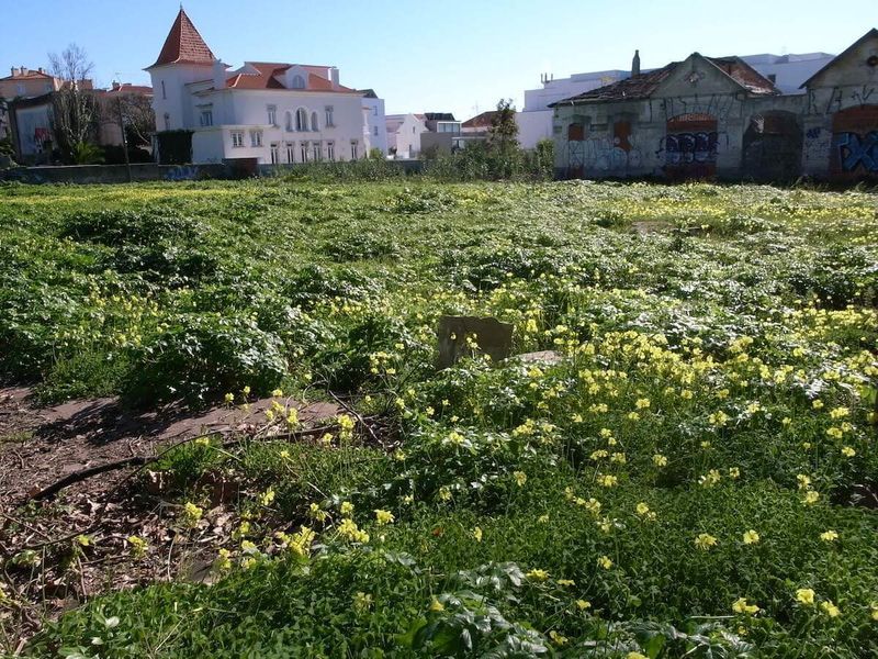 Parede, Lisbon, Portugal: Guide & Reviews