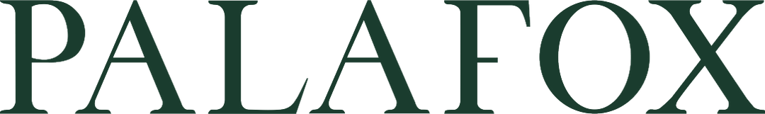 About - Palafox Associates