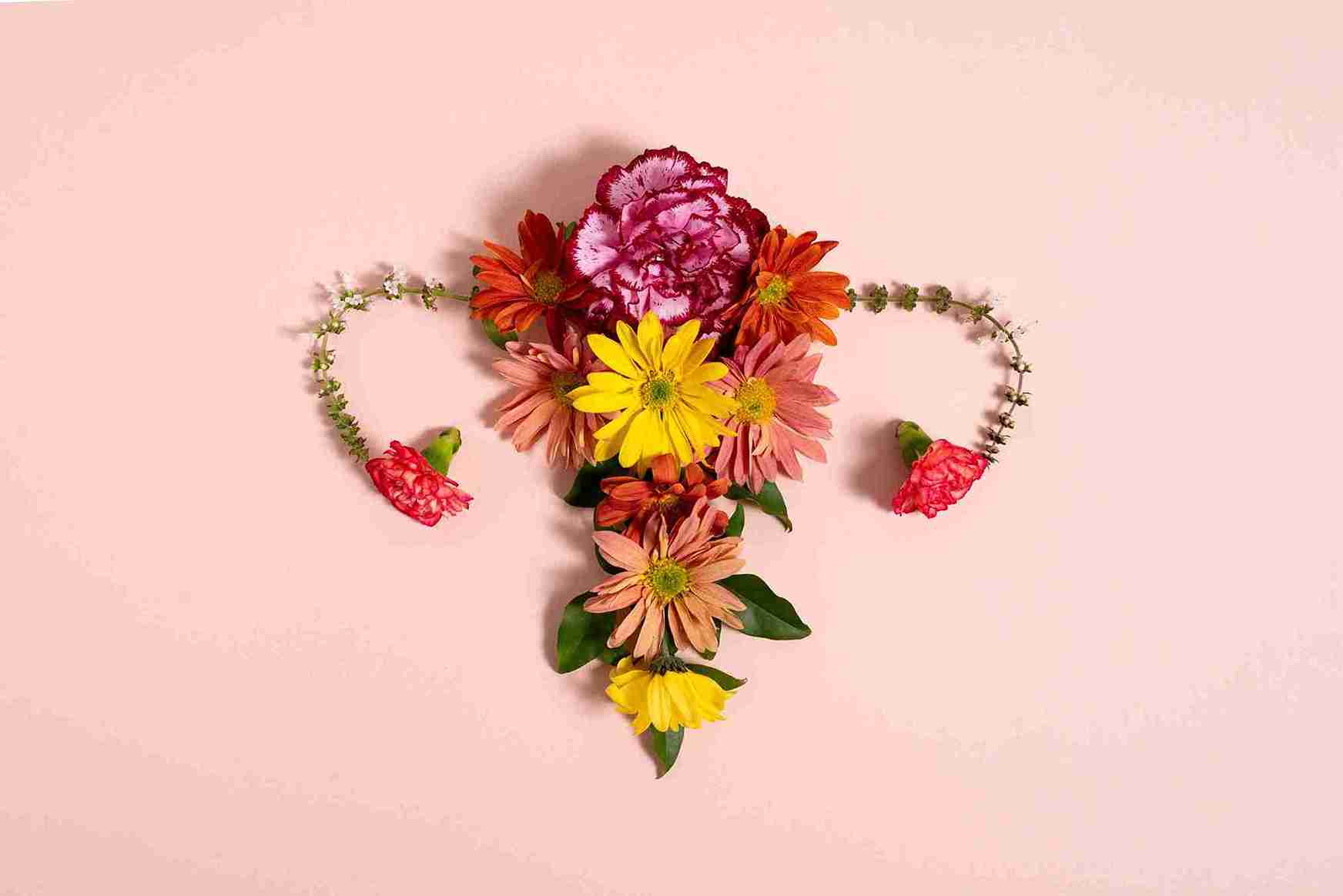 Vaginal Cancer: Types, Causes, Symptoms and Treatment