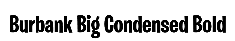 Font: Burbank in Font In Logo
