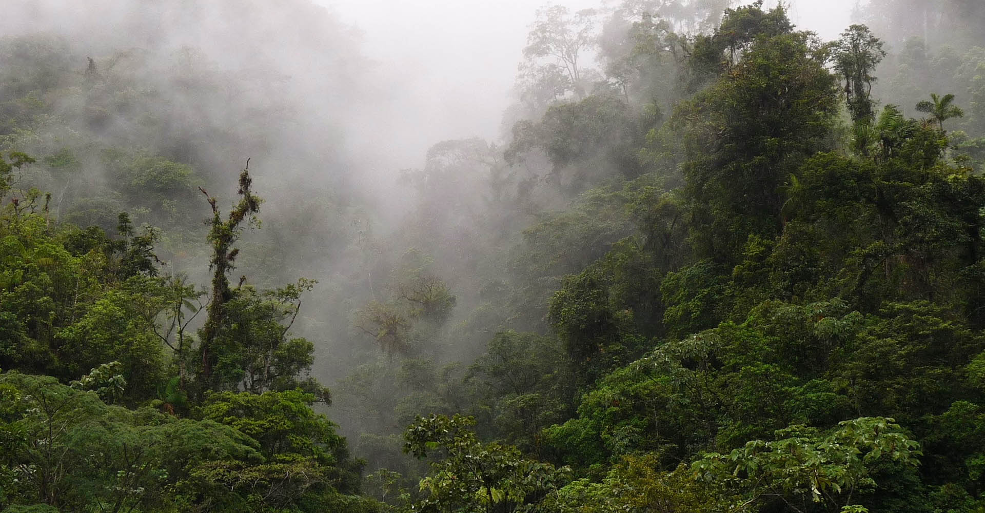 It’s okay to be an imperfect environmentalist | Ensemble Magazine