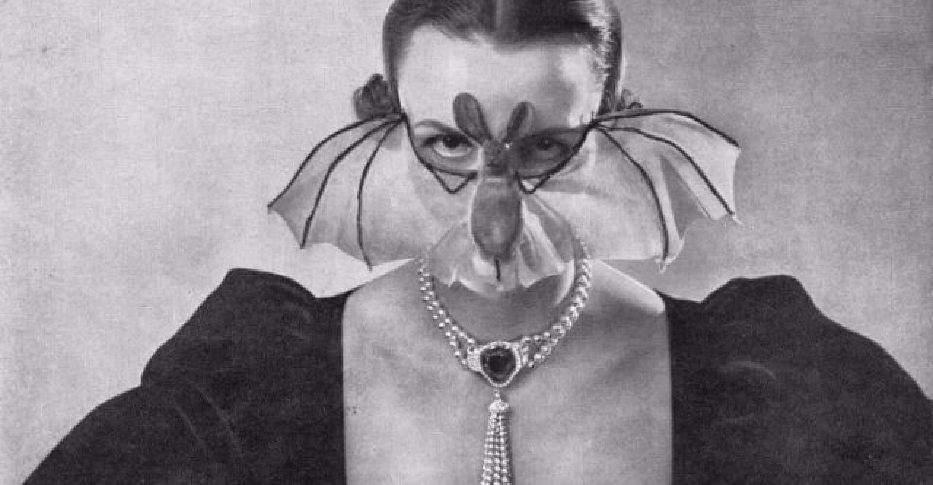 Ensemble endorses the Pekapeka-tou-roa for Bird of the Year | Ensemble ...