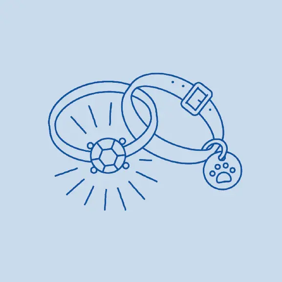 Animal Cremation and Memorial Services: What You Need To Know