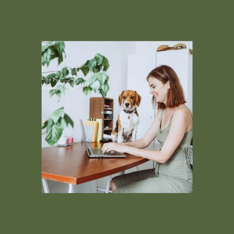 How Do Virtual Funerals Work and How To Plan One