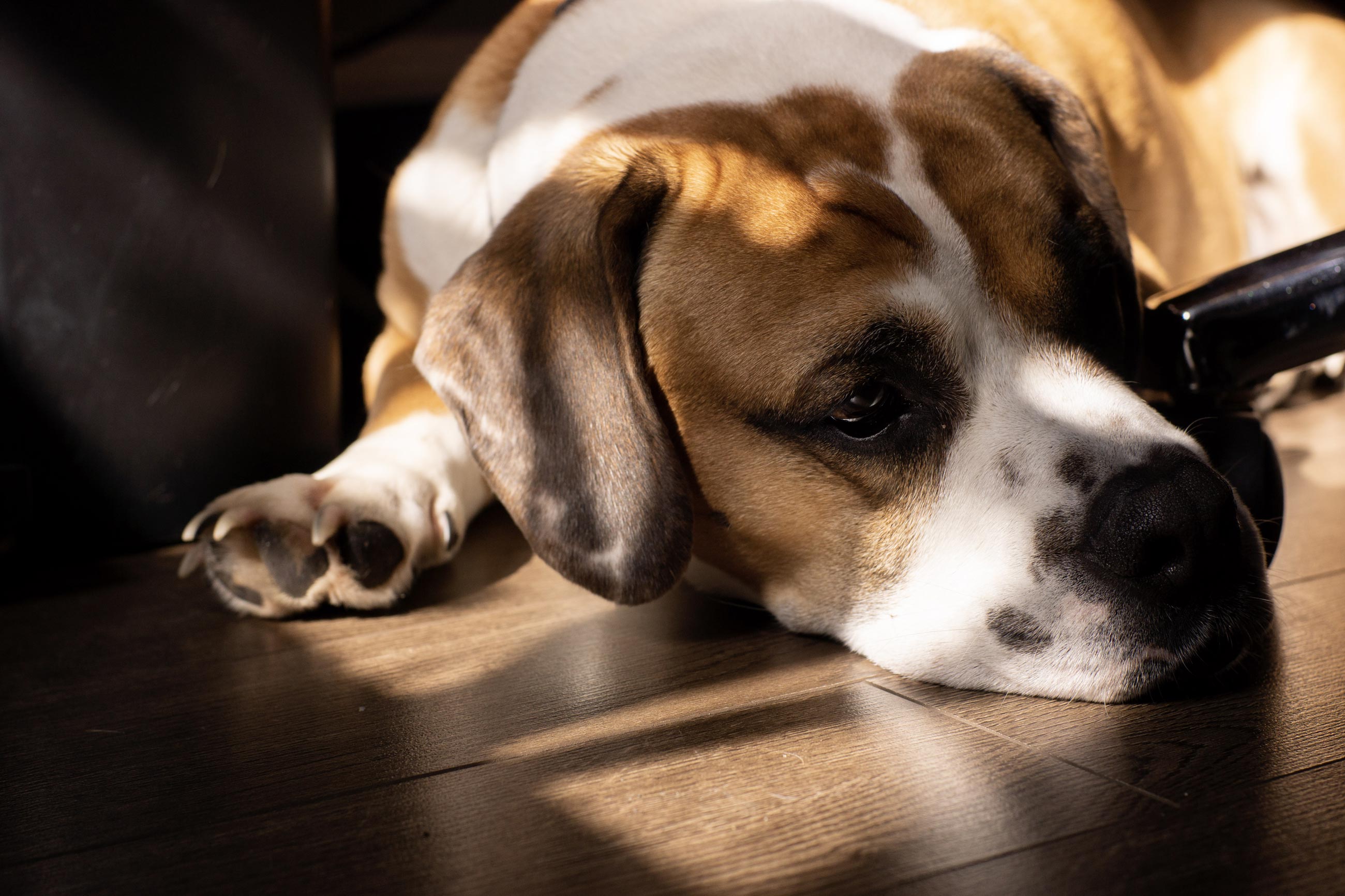 Ingaged Creative Productions