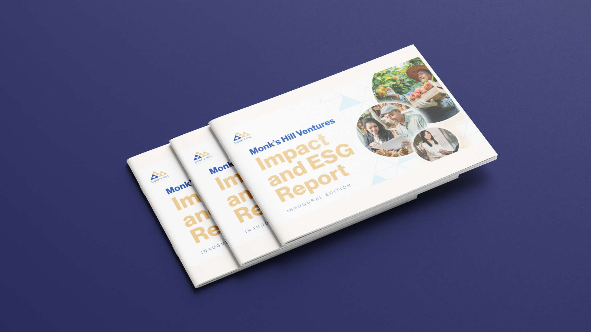 Monk's Hill Ventures Impact & ESG Report | MHV