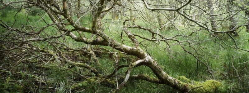 ALPA of Switzerland | The Essence of Photography