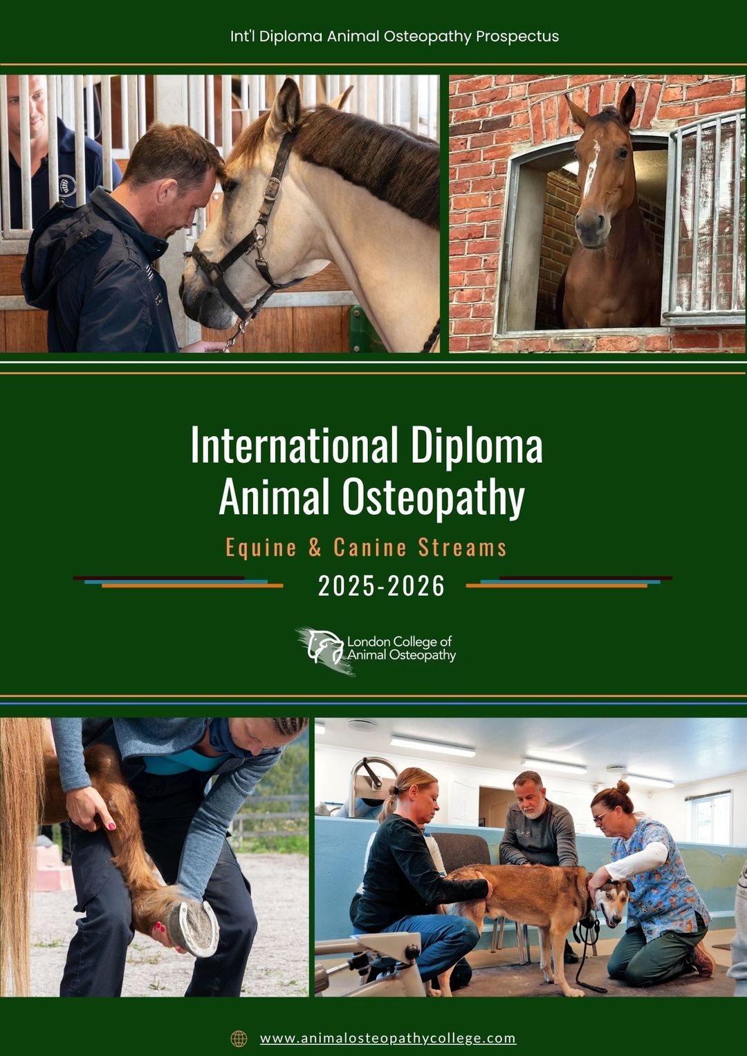 London College of Animal Osteopathy | Become an Animal Osteopath