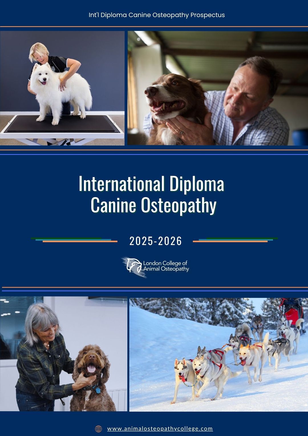 London College of Animal Osteopathy | Become an Animal Osteopath