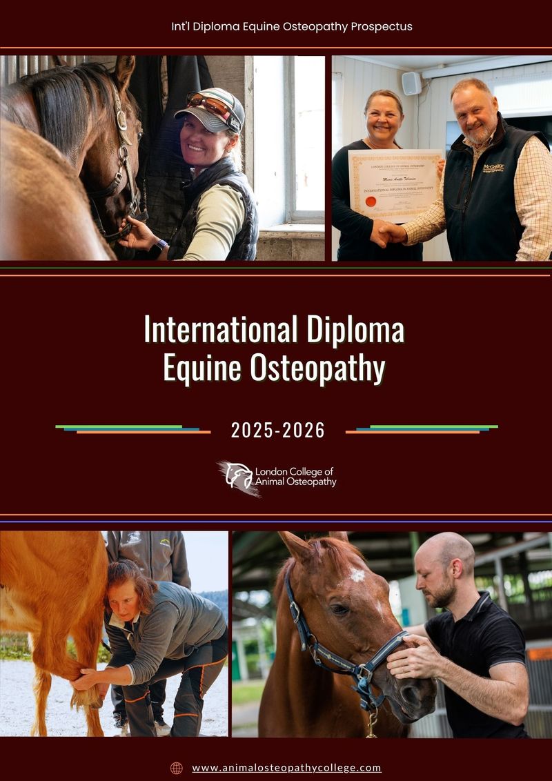 London College of Animal Osteopathy | Become an Animal Osteopath
