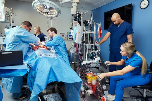 Master in Cardiovascular Perfusion Science