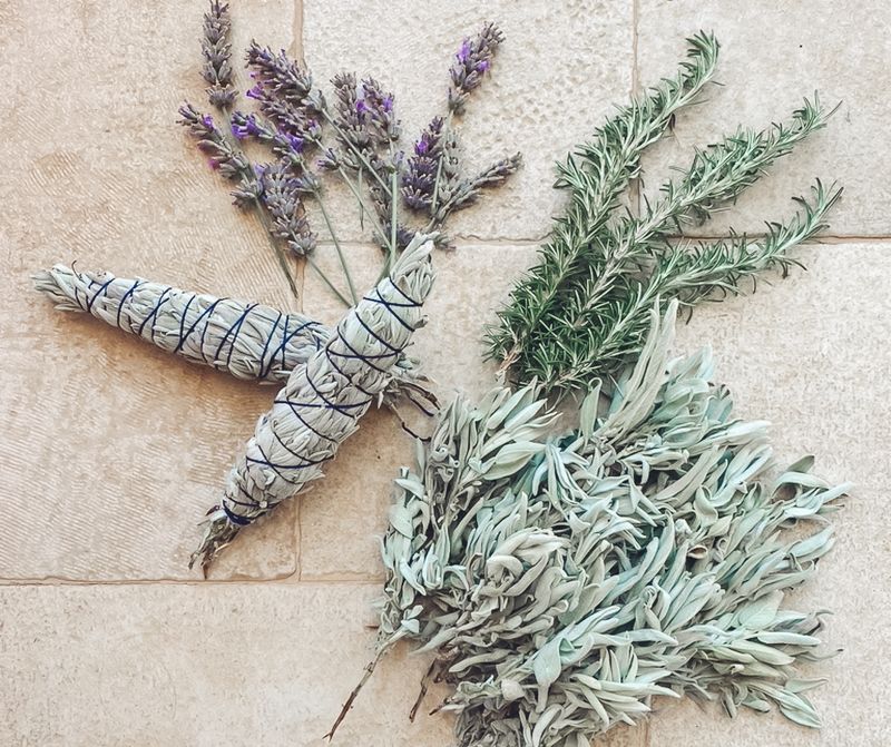Blog - Plant Ally
