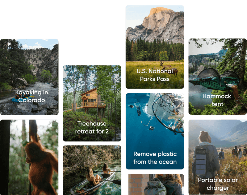 Treecard - Sustainable living, made simple.