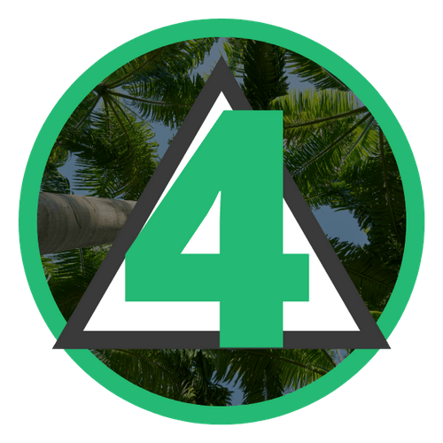 Step 4 of NA - Narcotics Anonymous